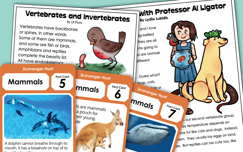 Vertebrates Mammals Facts