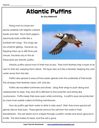 Animal Articles (Reading Comprehension)