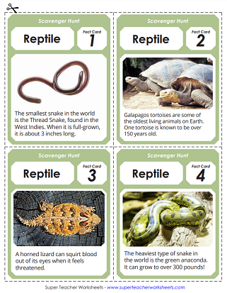 Science: Animal Worksheets